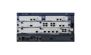 H3C SR6600 Router Series - DING SHENG